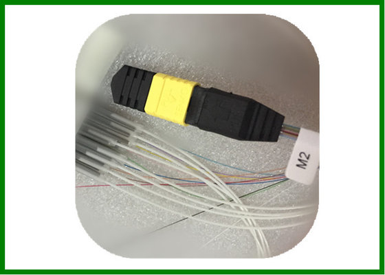 Broadband 1x2 SM Fused Single Mode Fiber Coupler with MPO Connector