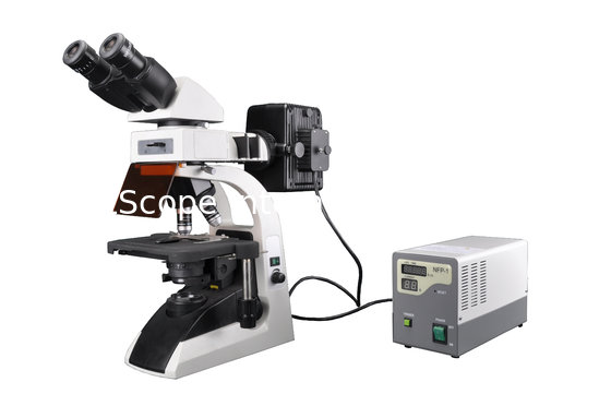 China BS - 2072FT binocular compound microscope Seidentopf BiOptionalcular Viewing Head factory