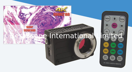 China CMOS image sensor Digital Microscope Cameras , hdmi microscope camera factory