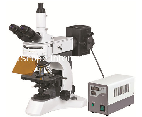 China BS - 7000A fluorescence microscope Coaxial Coarse & Fine Adjustment , Fine Division 0.001mm factory