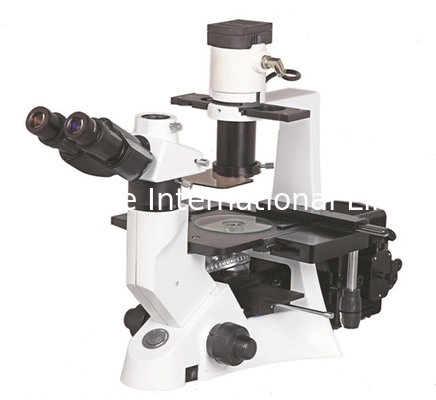 China Inverted Fluorescent Biological Microscope with Excellent fluorescent image with high resolution fluorescent BS - 7000B factory