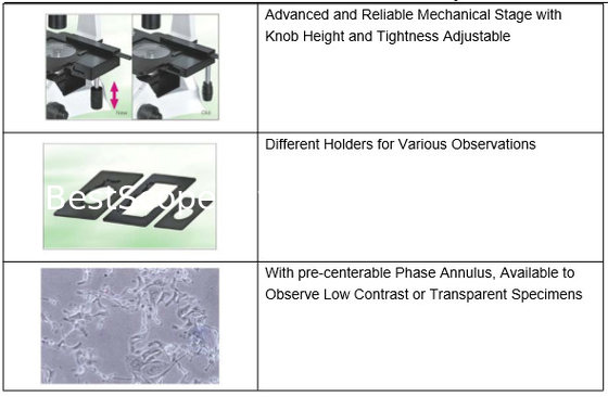 China Inverted Biological Microscope With High-point Extra Wide Field Eyepiece EW10× 22 factory