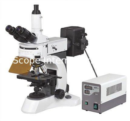 China Trinocular Fluorescent Microscopes Reflected With High Resolution factory