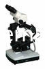 China Halogen Lamp Gemological Microscope Transmitted For Jeweler with Gem Clamp factory