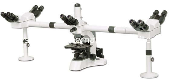 China Ultraviolet Multi-Head Microscope Trinocular With Halogen Lamp factory