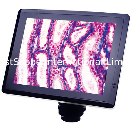China HD 8" LCD Multifunction Digital Camera 2.0 Megapixel Color With 1024 × 768 Resolution factory