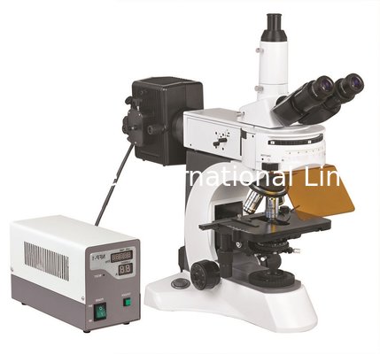 China Trinocular Epi - Fluorescent Microscope , Video Microscope BS - 7000A factory