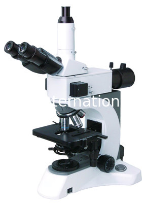 China Kohler Illumination Fluorescent Biological Microscope With Infinite Optical System factory