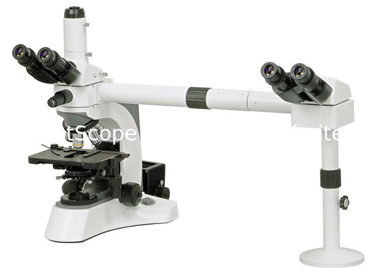 China Multi-Head Microscope with Infinite Optical System, Multi-Viewing Educational Microscopes factory
