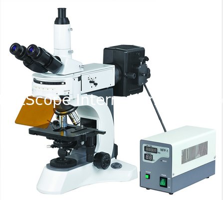 China Excellent Upright Fluorescent Microscope with High Resolution Fluorescent Objectives factory