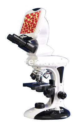 China 1080P / 30FPS Video Resolution Biological Microscope For Education exporter