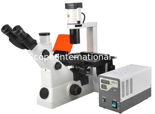 China Inverted and Reflected Video Fluorescent Biological Microscopes with Trinocular Head exporter