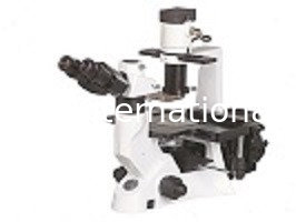 China Halogen Lamp Epi-Fluorescent Microscope , Trinocular Microscopes exporter