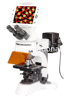 China Compound Digital LCD Fluorescence Microscope with 8 Inches TFT Screen exporter