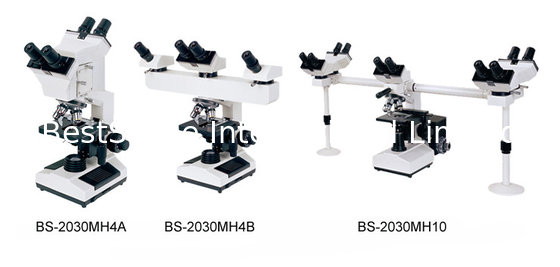 China School / Laboratory Biological Multi-Head Microscope with LED Illumination Adjustable exporter
