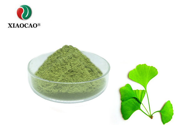Ginkgo Leaf Organic Herbal Extracts Powder Form 80 Mesh ISO Certification