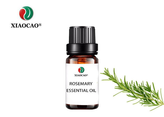 Natural Aroma Pure Essential Oils Rosmarinic Acid Strong Weight Losing Effect
