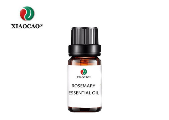 Natural Aroma Pure Essential Oils Rosmarinic Acid Strong Weight Losing Effect