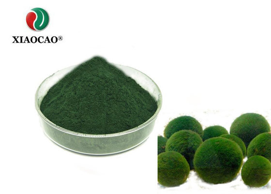 Antioxidant Organic Herbal Extracts 80 -100 Mesh Dark Green PAHs <10ppb