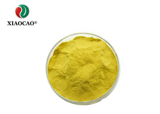 Raw Processing Organic Herbal Extracts , Ginger Root Powder Single Herbs
