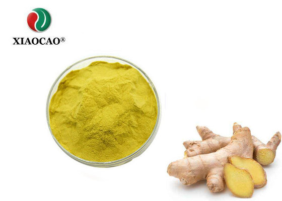 Raw Processing Organic Herbal Extracts , Ginger Root Powder Single Herbs