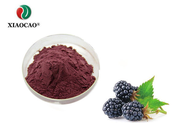 Dried Organic Herbal Extracts Wild Mulberry Leaves Fruit Extract Type