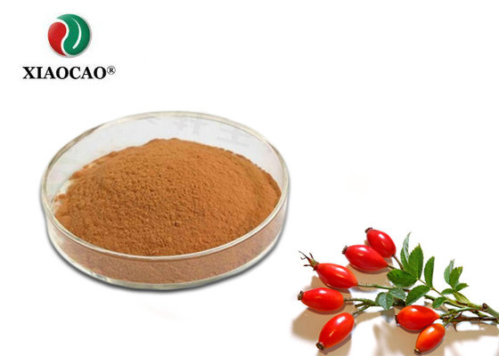 100 pure Organic Herbal Extracts Seed Part Solvent Extraction