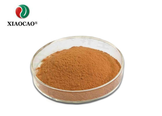 100 pure Organic Herbal Extracts Seed Part Solvent Extraction