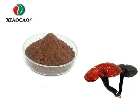 Anti Aging Organic Herbal Extracts Root Part Brown Powder For Middle Aged