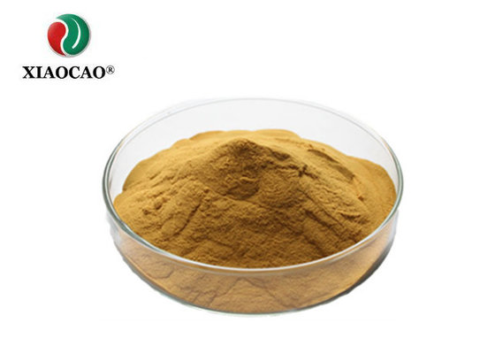 Hawthorn Leaf Natural Botanical Extracts For Treating Coronary Heart Disease