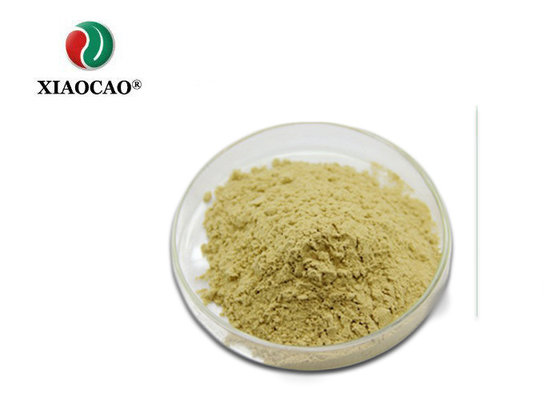 Multifunctional Organic Herbal Extracts Soy Protein Soybean Protein Powder
