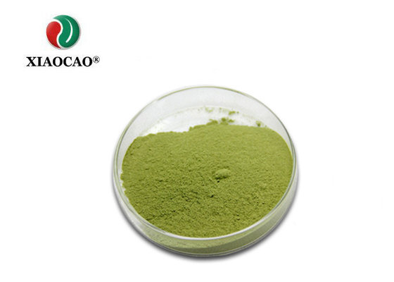 Providing Energy Organic Mung Bean Isolate Protein With Good Nutritional Balance