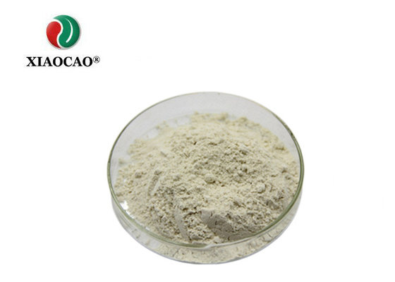 EU NOP Certified Organic Pumpkin Seed Protein Plant Based Custom Made