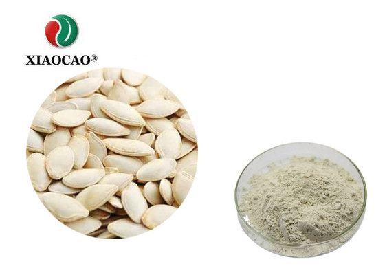 EU NOP Certified Organic Pumpkin Seed Protein Plant Based Custom Made