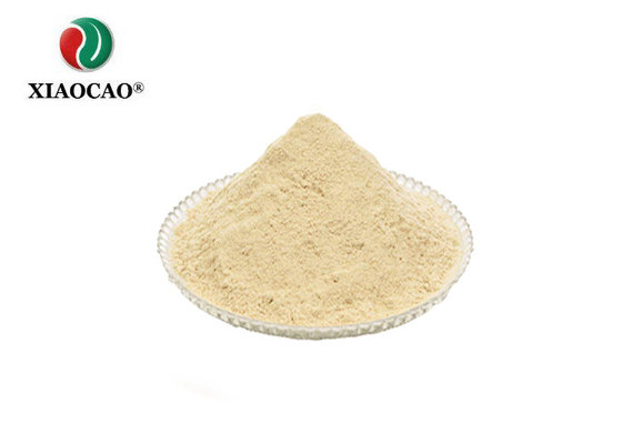Organic Hericium Mushroom Powder , Plant Hericium Erinaceus Powder