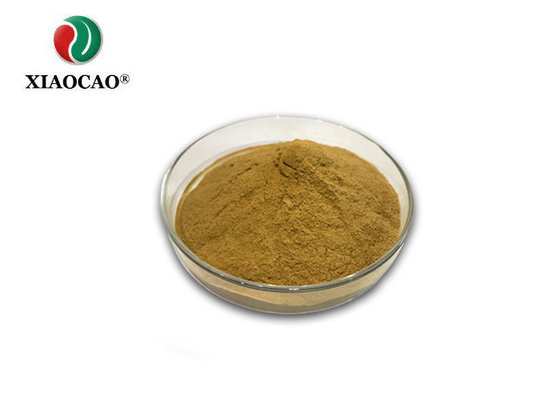 Polypore Mushroom Organic Herbal Extracts Grifola Frondosa Powder 10-50%