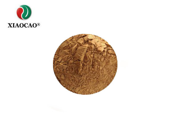 Blends Organic Bolete Powder / Medicinal Mushroom Extract Powder