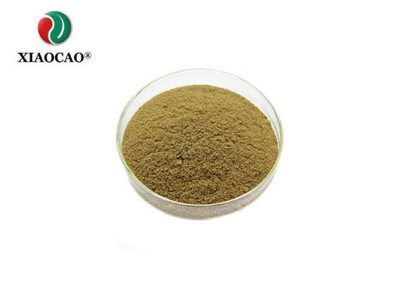 Antibacterial Organic Herbal Extracts Morchella Esculenta Extract Powder