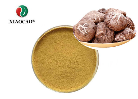 Mushroom Organic Herbal Extracts Shiitake / Lentinus Edodes Powder