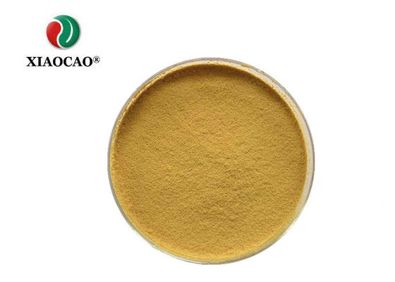 Mushroom Organic Herbal Extracts Shiitake / Lentinus Edodes Powder