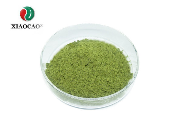 Leafy Green Organic Kale Powder / Medicine Organic Collard Powder