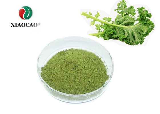 Leafy Green Organic Kale Powder / Medicine Organic Collard Powder