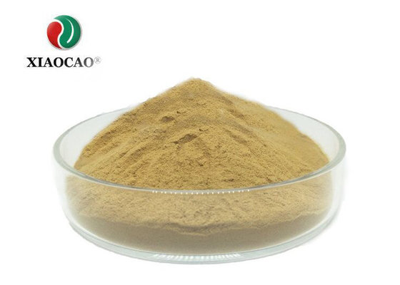 Health Organic Parsley Extract Powder / Food Organic Apigenin Powder