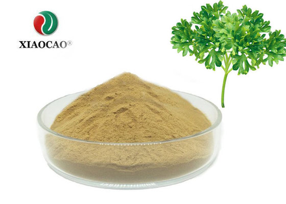 Health Organic Parsley Extract Powder / Food Organic Apigenin Powder