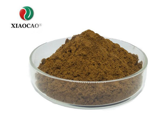 Pharmaceutical Organic Herbal Extracts Chaga Mushroom Powder Lions Mane