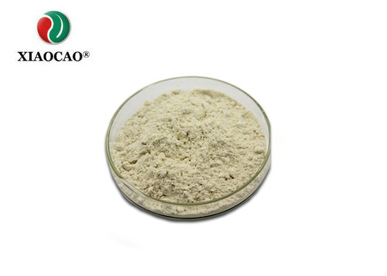 Superfood Organic Brown Rice Protein Powder , Brown Rice Pea Protein Powder