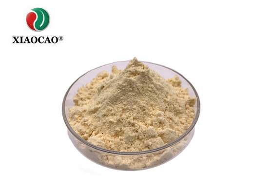 Food Grade Pure Organic Herbal Extracts Pea Protein Powder 80% 85% Purity