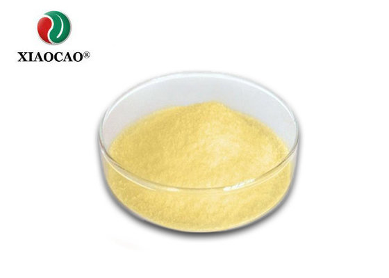 CAS 9010-66-6 Organic Herbal Extracts Corn Protein Powder Feed Additives