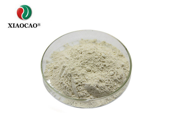 CAS 94350-05-7 Organic Rice Protein Powder / Vanilla Rice Protein Powder 80%