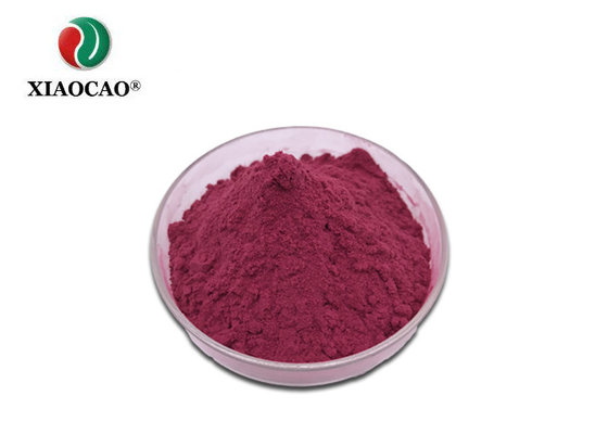 GMO Free Organic Herbal Extracts Beetroot Powder For Lowering High Blood